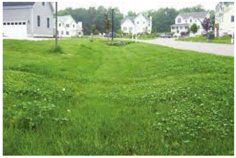 Pretreatment Swale | CT Stormwater Quality Manual