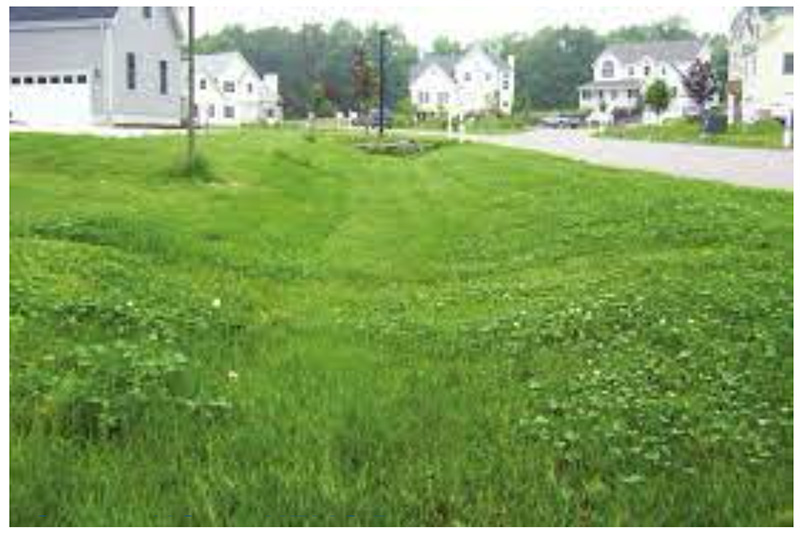 Pretreatment Swale | CT Stormwater Quality Manual