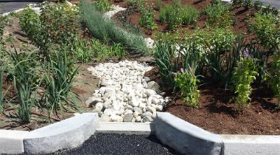 Bioretention | CT Stormwater Quality Manual