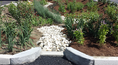 Bioretention | CT Stormwater Quality Manual