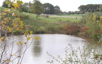 Stormwater Pond BMP | CT Stormwater Quality Manual