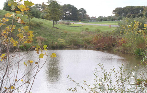 Stormwater Pond BMP | CT Stormwater Quality Manual