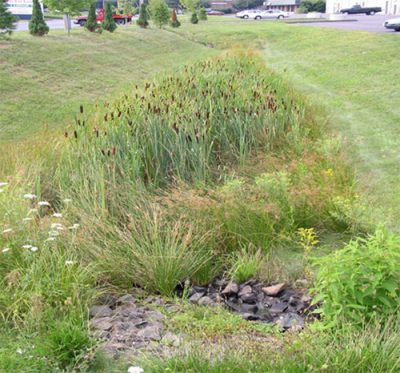 Wet Water Quality Swale | CT Stormwater Quality Manual